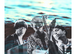 DUKE | fox capture plan